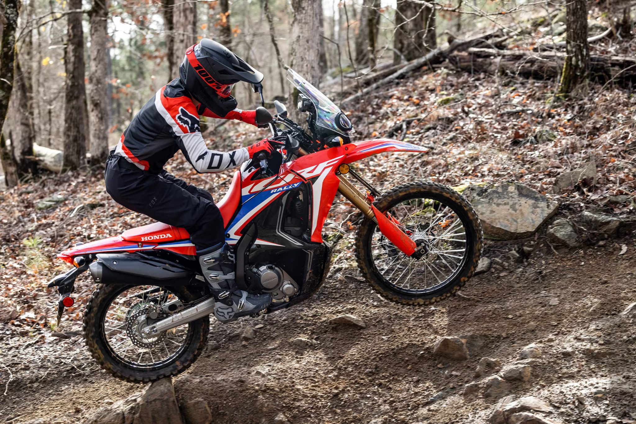The Best Small Motorcycles for New Riders (2023 Update)